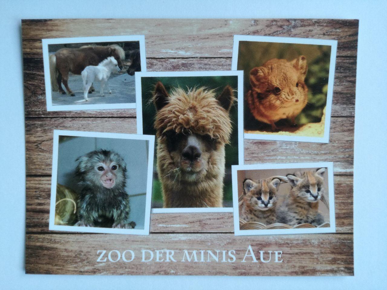 Postkarte - Alpaka und andere Tiere - Zoo der Minis - Tiergarten Aue ... Postkarte - Alpaka und andere Tiere - Zoo der Minis - Tiergarten Aue ...